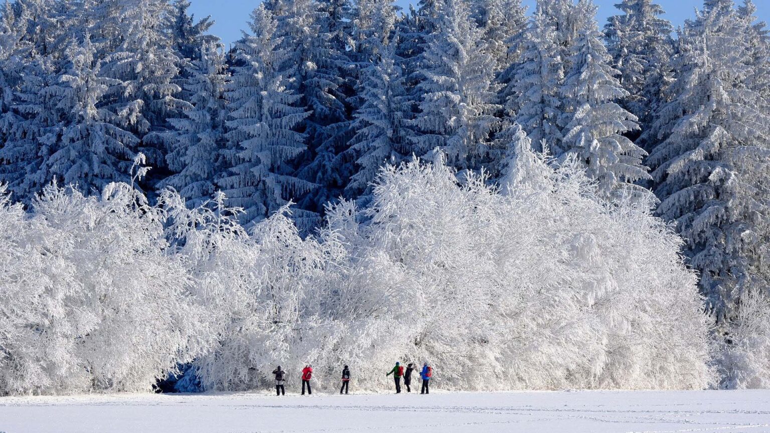 Ways to Get Outside This Winter - Winter Homes