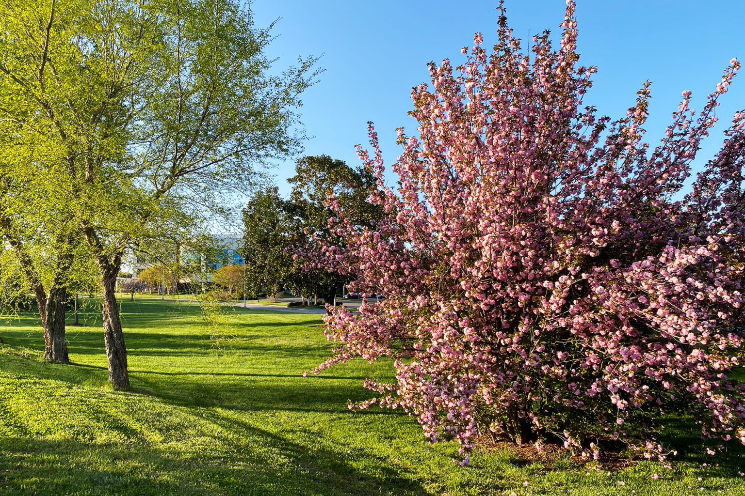 10 Things to Do this Spring in Athens, Alabama - Winter Homes